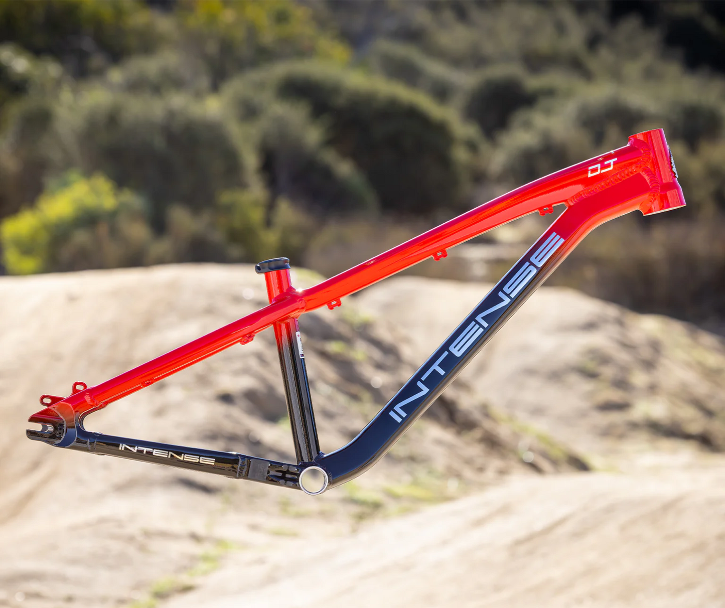 Intense DJ 26 Frame - Gloss Red to Black Fade - 2026 – Planet Cyclery